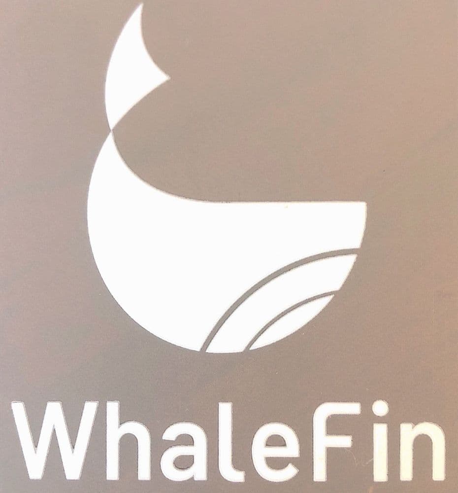 2022-23 Chelsea WHALEFIN Home Shirt Official Player Issue Size Arm Sleeve Football Sponsor Logo