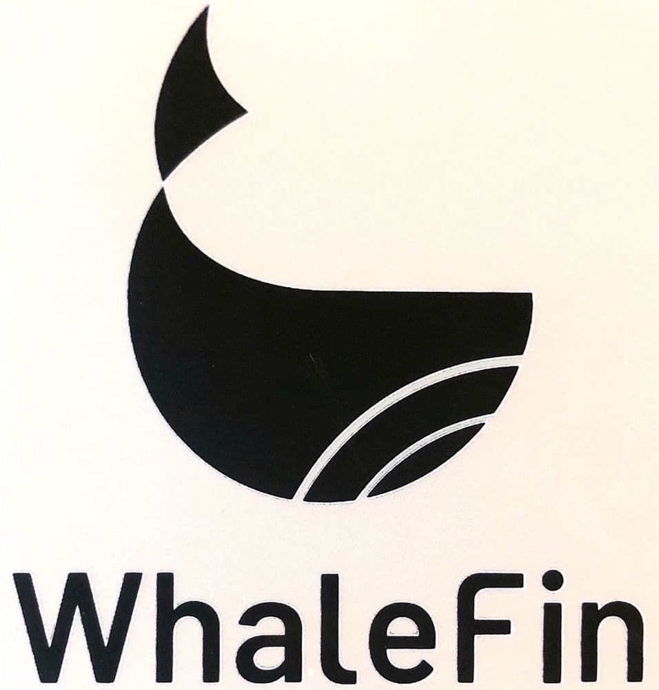 2022-23 Chelsea WHALEFIN Third Shirt Official Player Issue Size Arm ...