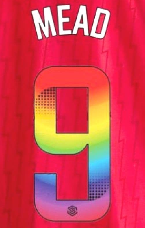 2023-24 Arsenal Rainbow Laces 10 Home/Third Shirt MEAD 9 Official ...