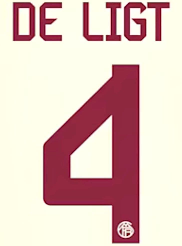 2023-24 Bayern Munich UCL Third Shirt DE LIGT 4 Official Football Name ...