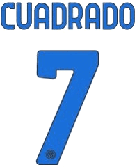 2023-24 Inter Milan Away Shirt CUADRADO 7 Official Player Issue Size ...