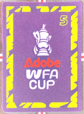 2023-24 Women s Adobe FA Cup CHELSEA WINNERS BOH 5 Official Player ...