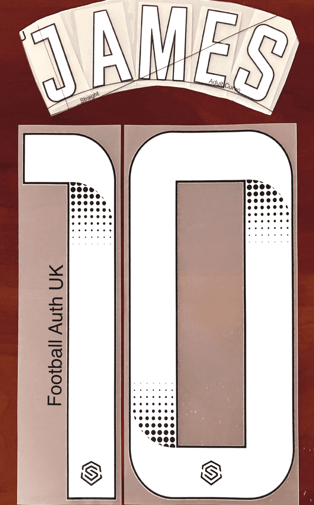 2023-25 Chelsea FA WSL Home/Away/Third Shirt JAMES 10 Official Player ...