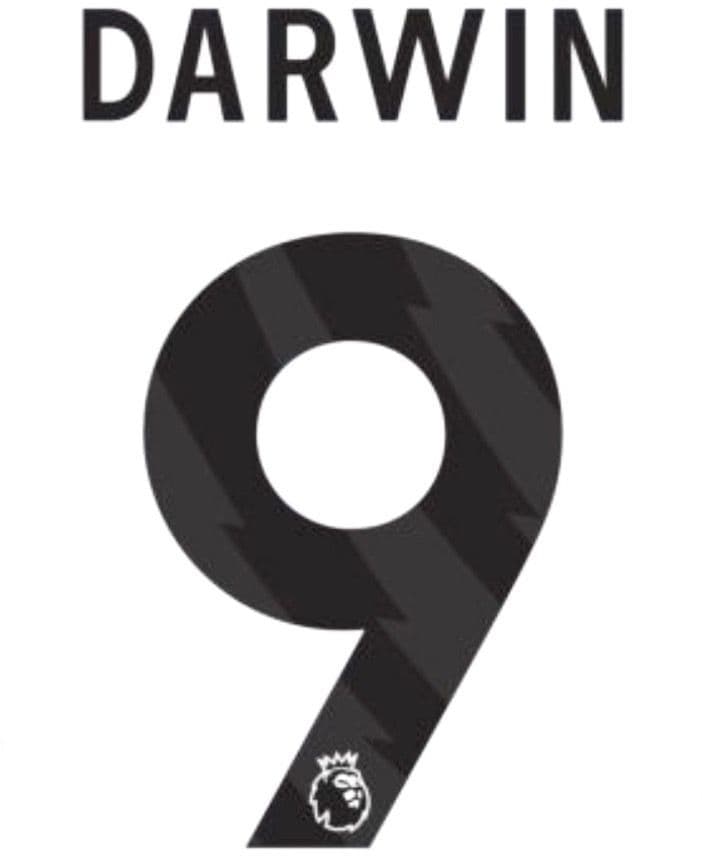 2023-25 Liverpool Away/Third Shirt DARWIN 9 Official Player Issue Size ...