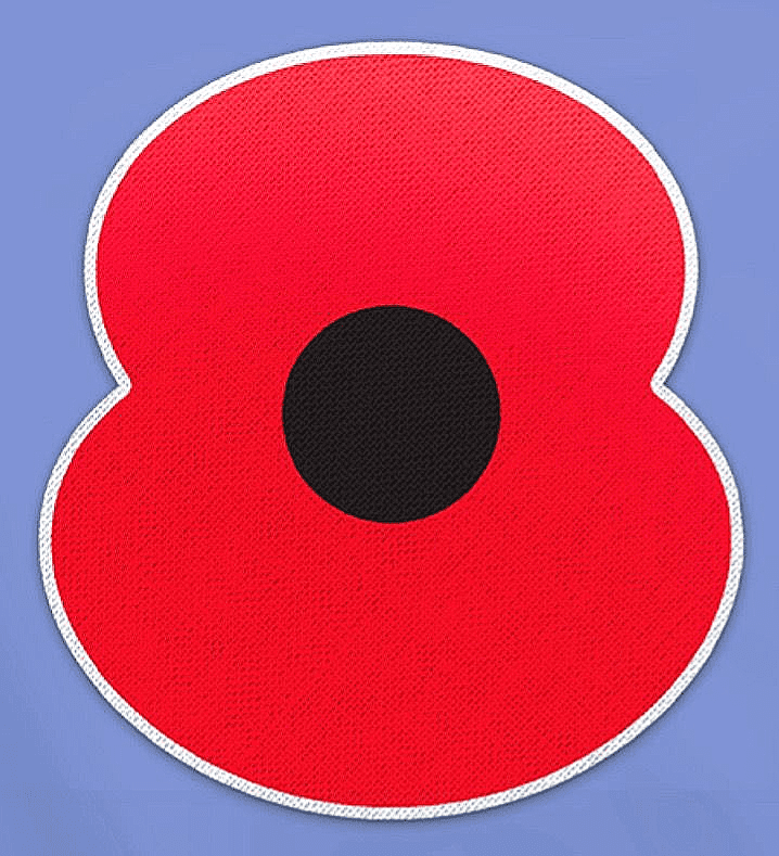 2024-25 English Football RBL POPPY Official Player Issue Size Football ...