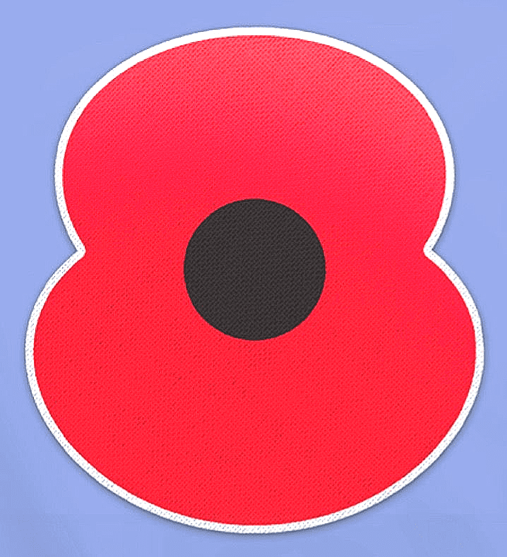 2024-25 English Football RBL POPPY Official Player Issue Size Football ...