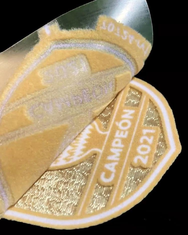 2024 Argentina COPA AMERICA CHAMPIONS 2021 Official Player Issue Size ...