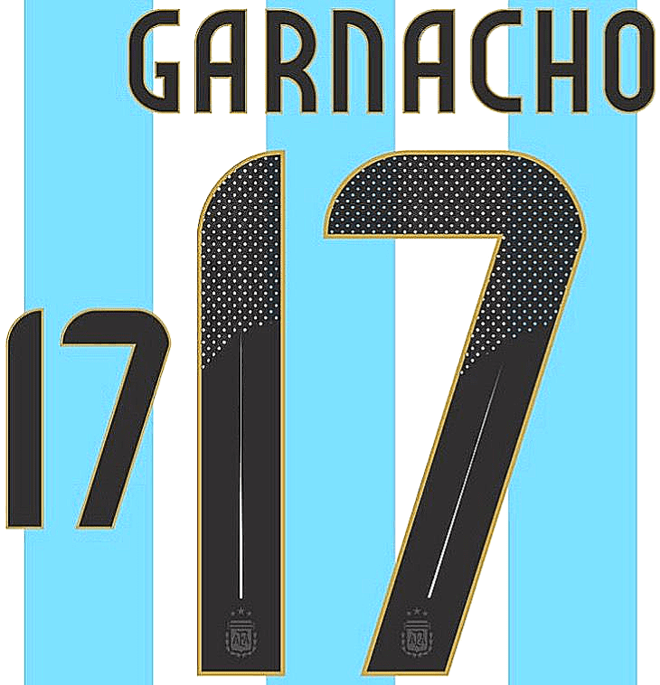 Argentina COPA AMERICA 2024 Home Shirt 2024-25 GARNACHO 17 Official ...