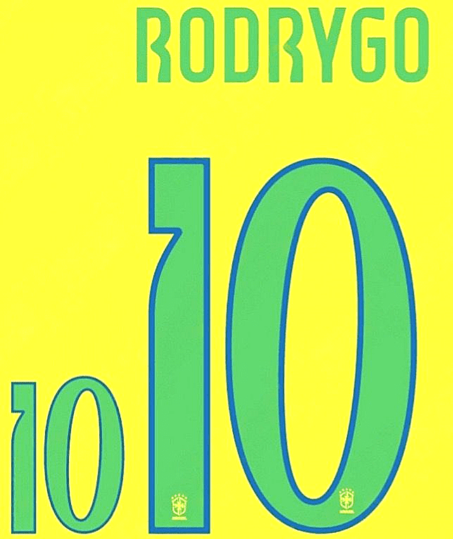 Brazil COPA AMERICA 2024 Home Shirt 2024-25 RODRYGO 10 Official Player ...