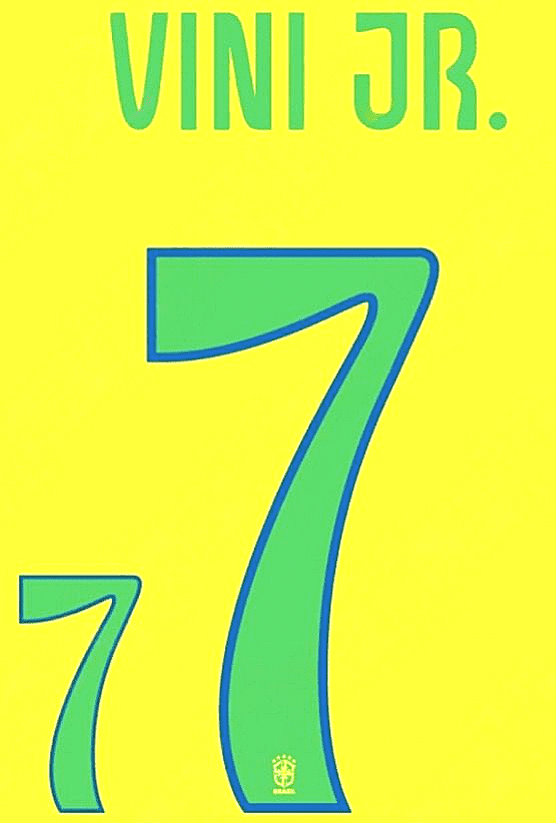 Brazil COPA AMERICA 2024 Home Shirt 2024-25 VINI JR 7 Official Player ...