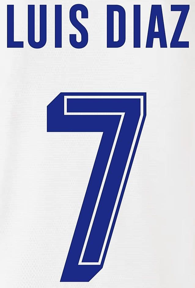 FC Porto EUROPA/UCL Away & Third Shirt 2019-20/21 LUIS DIAZ 7 Official ...