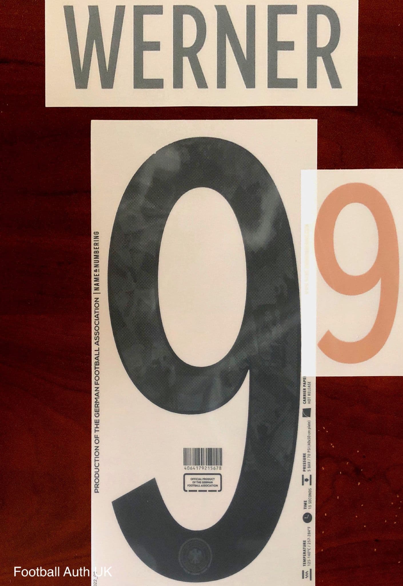 Germany Home Shirt 2022-23 WERNER 9 Official Adidas Football Name ...