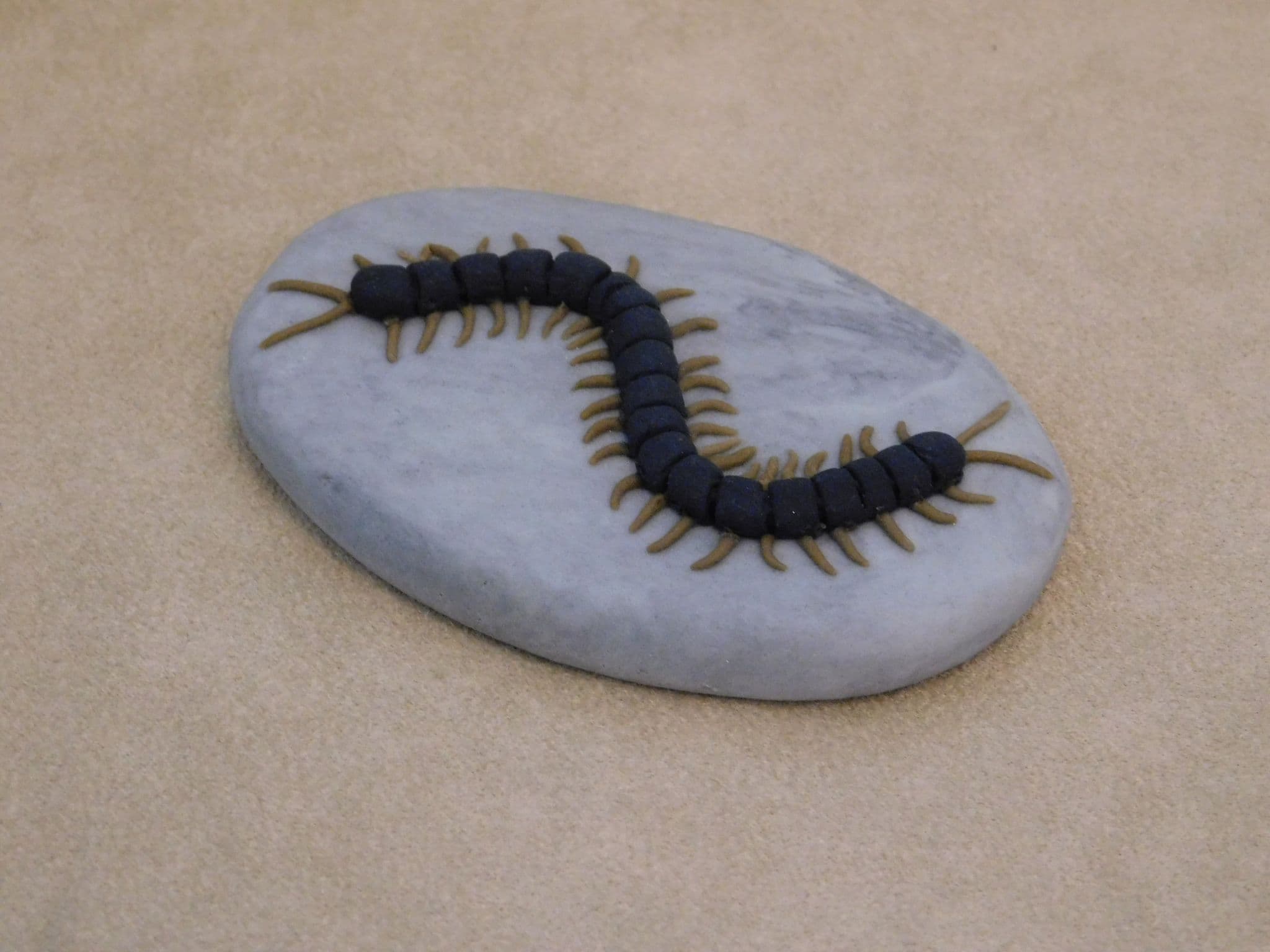 Centipede on rock Cake Topper