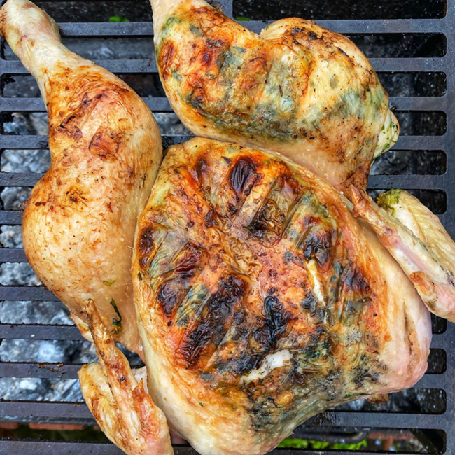 Campfire Cookshop Wilderness Firepit Grill