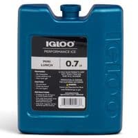 Igloo Performance Ice Blocks