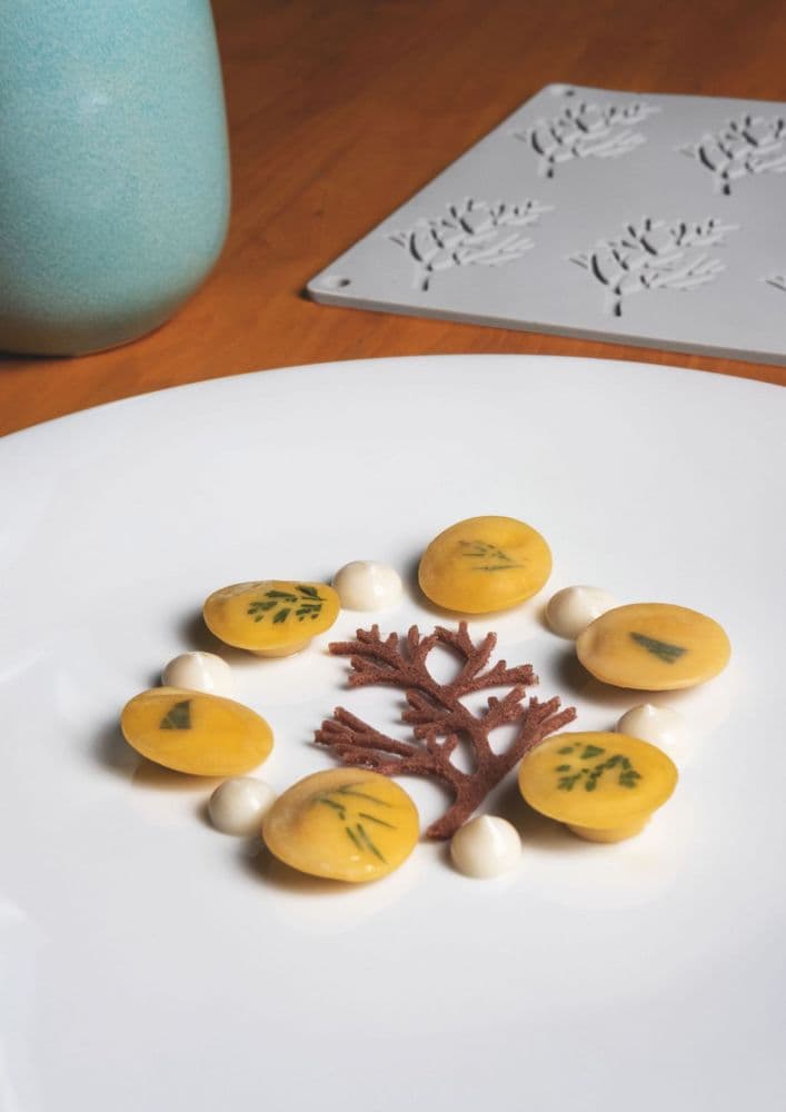 GG031 - Deadwood Pavoni Italia Gourmand Silicone Moulds