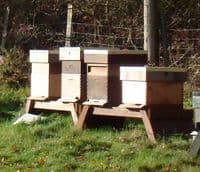 Double Hive Stand