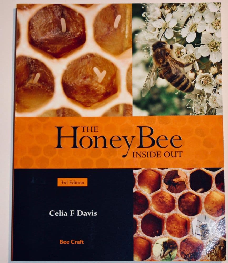 The HoneyBee Inside Out Celia Davis