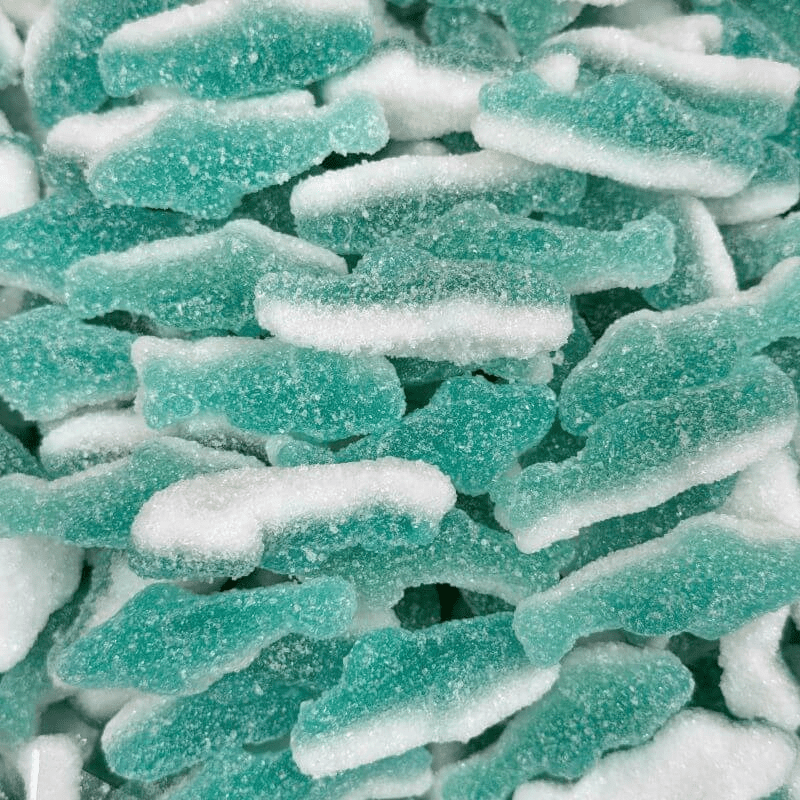 Sour Blue Sharks - 1kg | Halal Fizzy & Sour Sweets