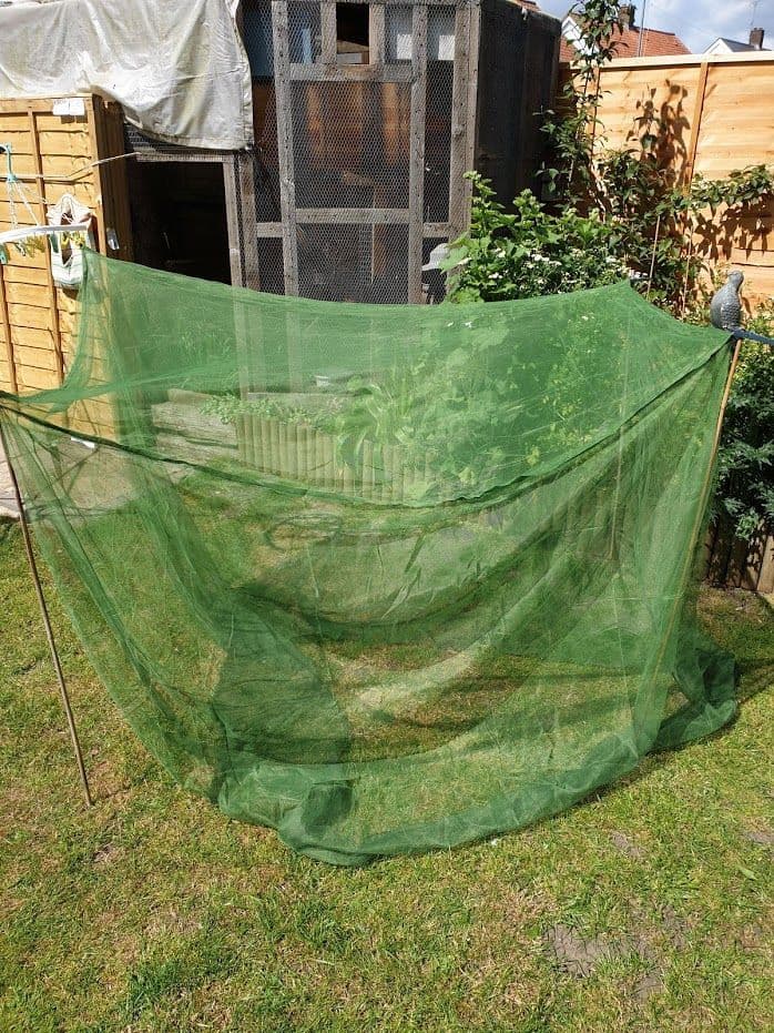 Mosquito bug net