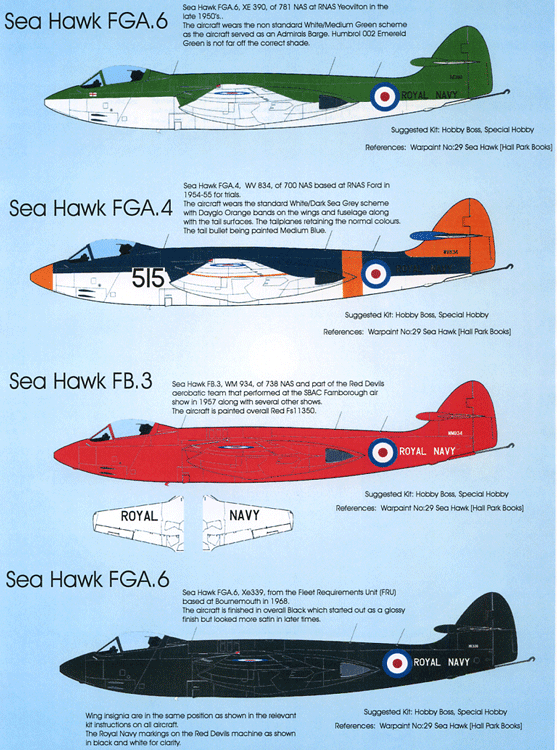 Colourful Sea Hawks 72