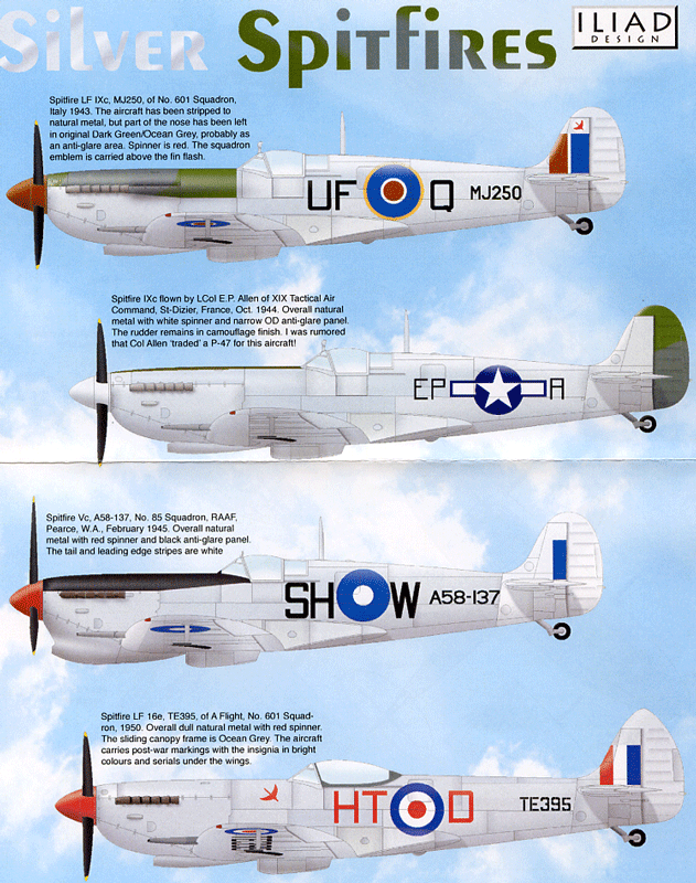 Silver Spitfires 48