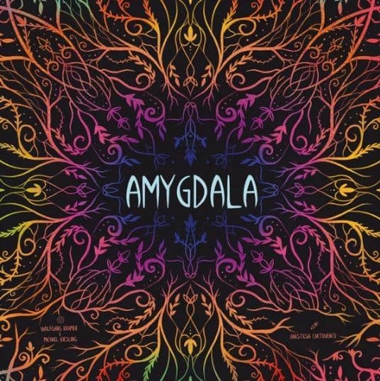Amygdala