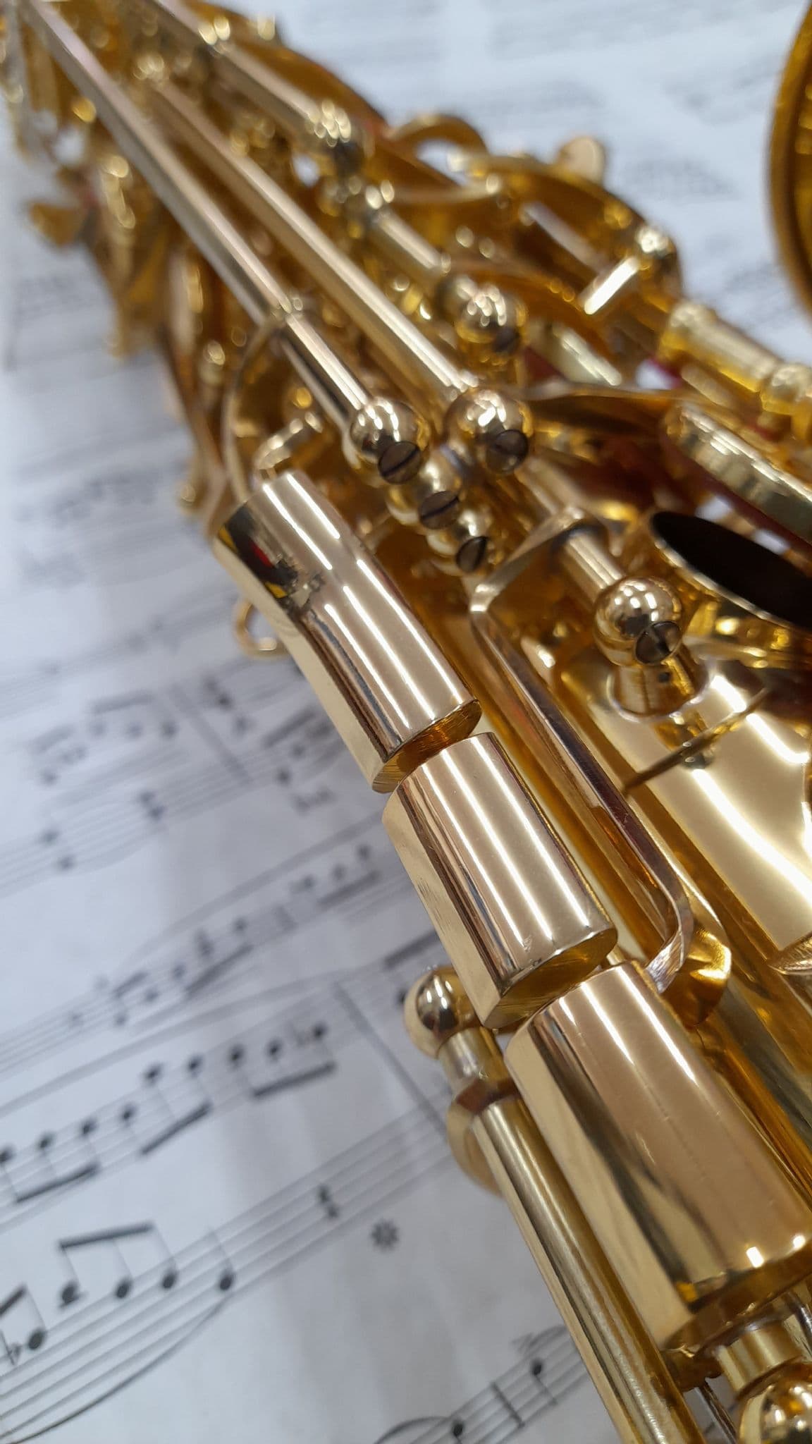 Artemis Alto Saxophone Rental Return