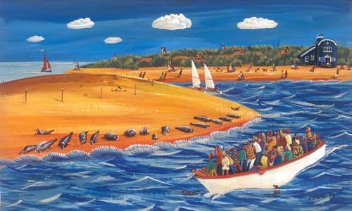 Seal Art Prints by Brian Lewis At The Point