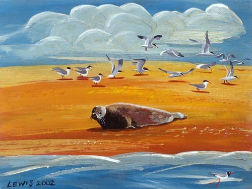Seal Art Prints by Brian Lewis First Rays Of The Sun