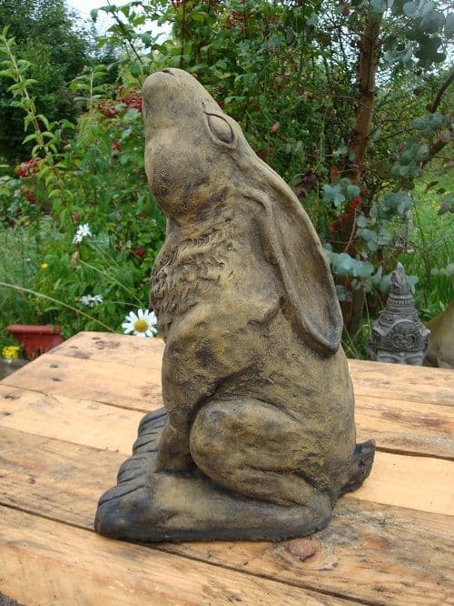 Moon Gazing hare statue 36cm