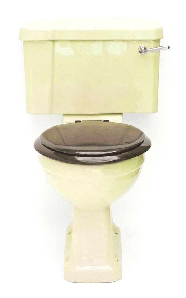 Primrose Edwardian/Art Deco Toilet Pan and Cistern Close-Coupled