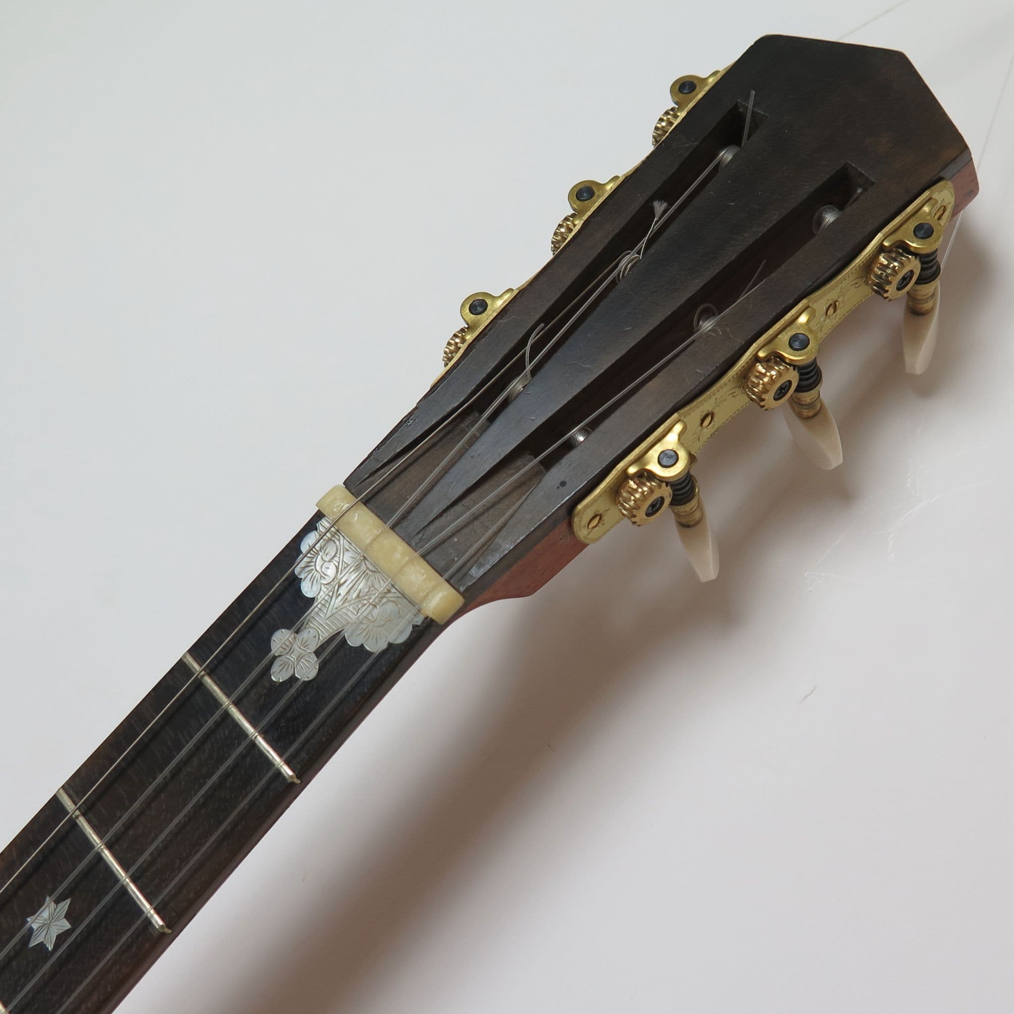 Cammeyer 5 String zither banjo|Brown Dog Banjos