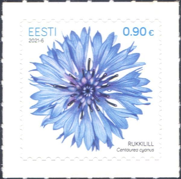 National Flower Of Estonia | Best Flower Site