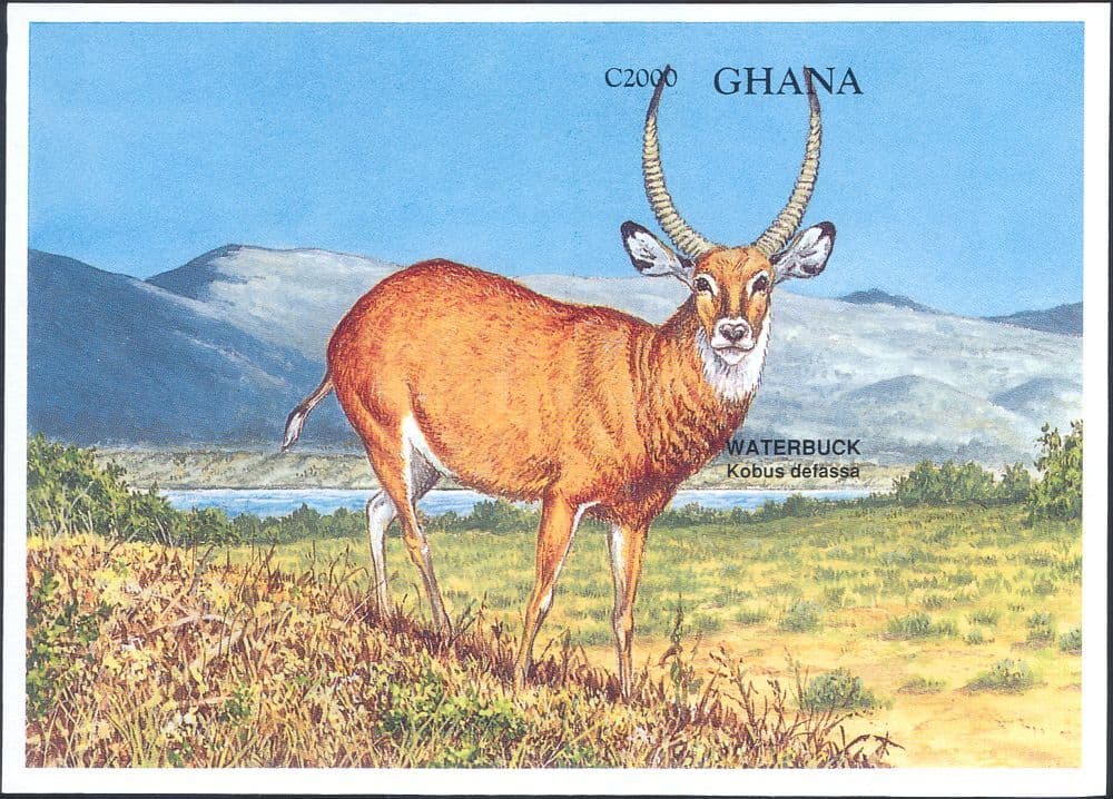Ghana 1995 Waterbuck/ Antelope/ Wildlife/ Endangered Animals 1v m/s ...