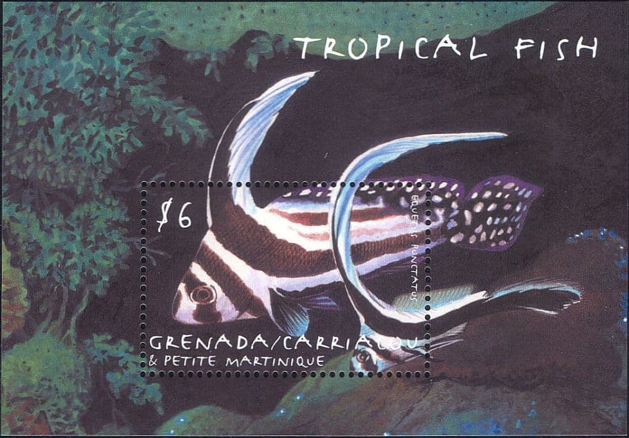 Grenada Grenadines 2000 Tropical Fish/ Spotted Drum/ Nature/ Marine 1v ...