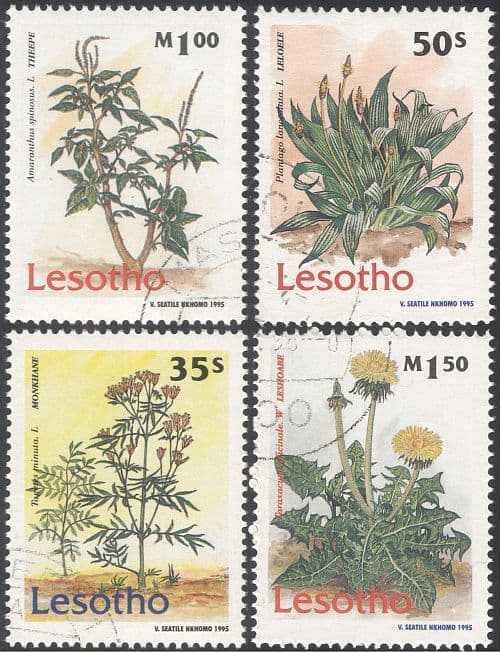 Lesotho 1995 Medicinal Plants/ Flowers/ Nature/ Medical/ Medicine 4v ...