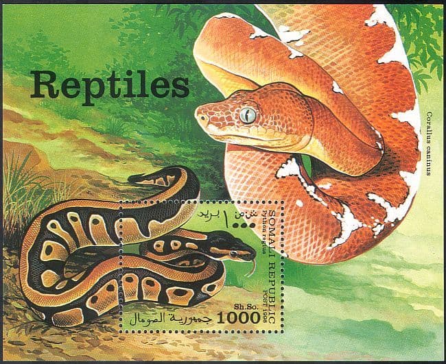 Somalia 1998 Royal Python/ Snakes/ Reptiles/ Animals/ Wildlife/ Nature ...