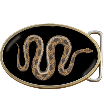 Belt Buckles, Leather Belts and Bolo Ties