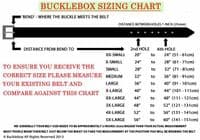 Lion Rampant Scotland Scottish Flag Belt Buckle code A0216