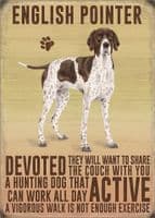 English Pointer