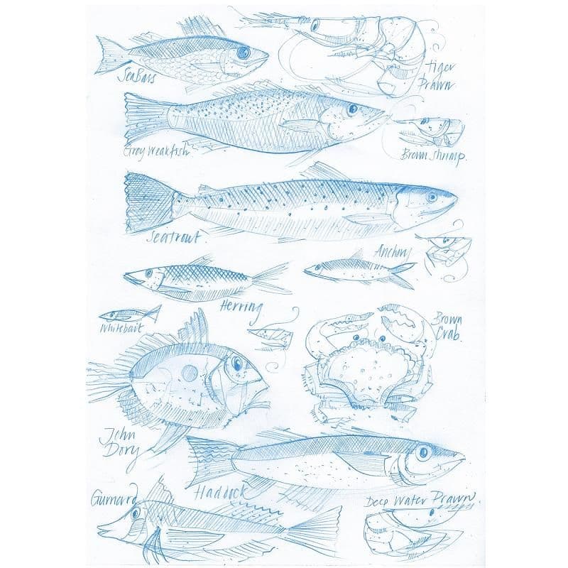 Blue Fish | Fine Art Print | Andrew Ruffhead