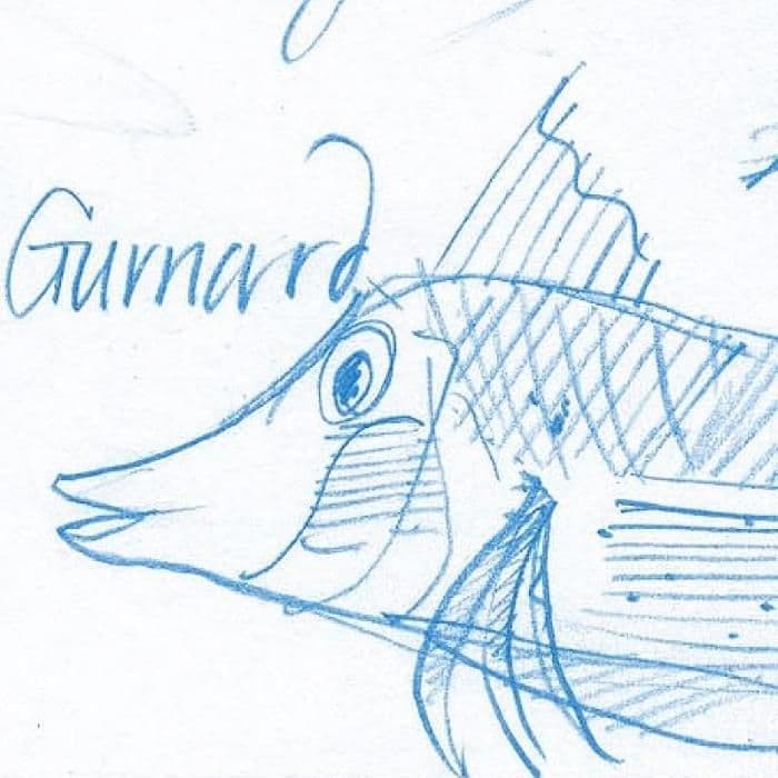 Blue Fish | Fine Art Print | Andrew Ruffhead