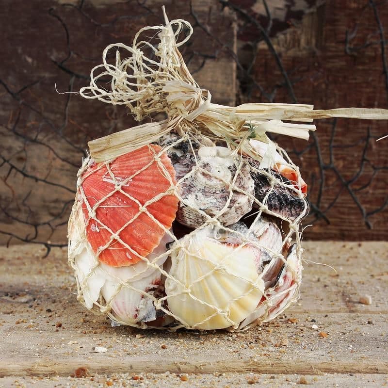 Net Bag of Shells | Beach Shells