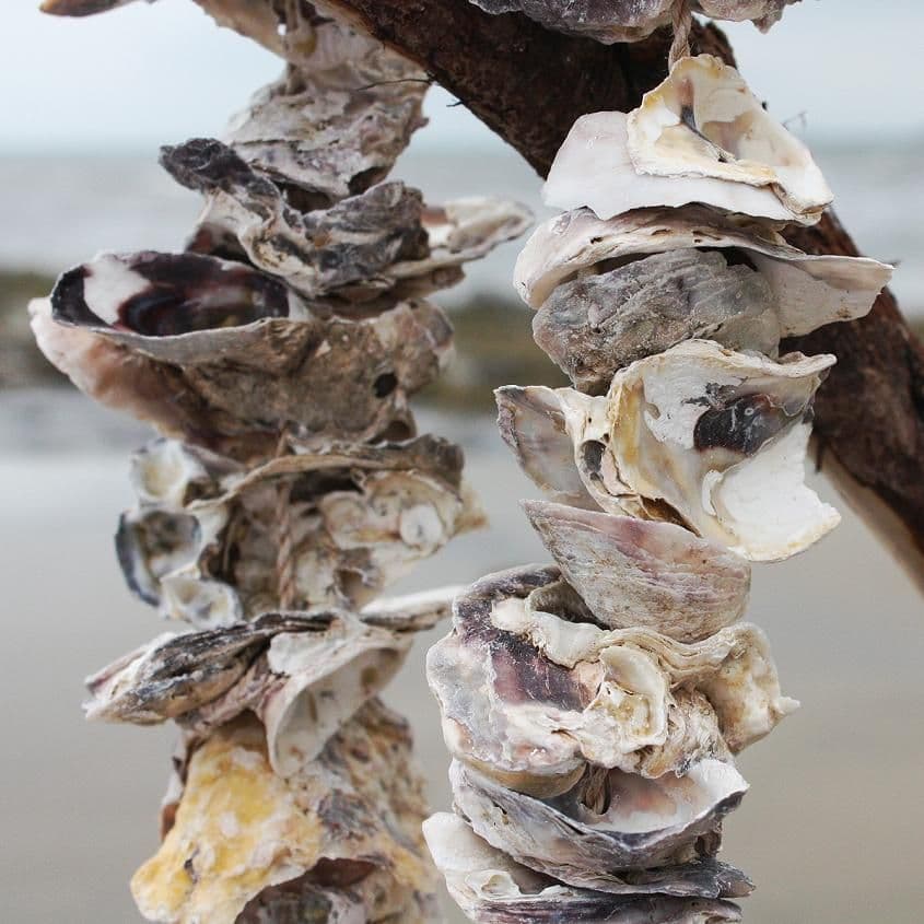 Oyster Shell Garland | 100cm long