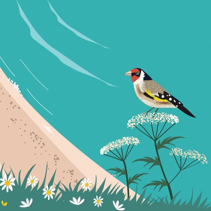 South Milton Sands | Travel Art Print | Tor Allen