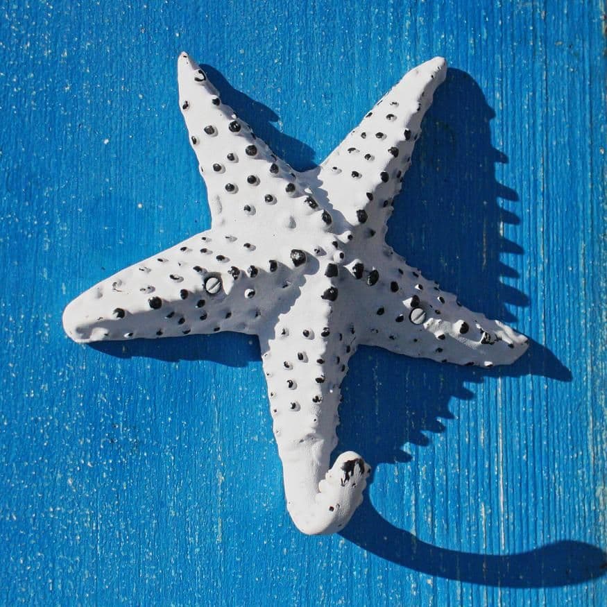 Starfish Shaped Wall Hook | Coastal Metal Hook