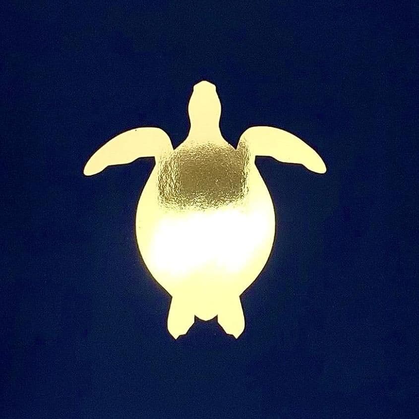 Turtle Gold Foil Print | Metallic Art Print | Nichol Foster