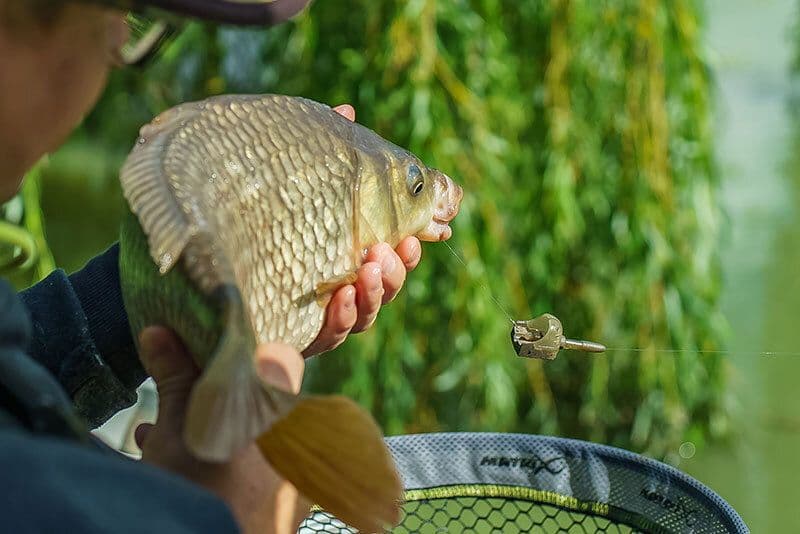 Matrix Interchangeable Pellet Feeders