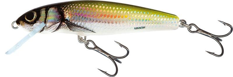 Salmo Minnow 6cm